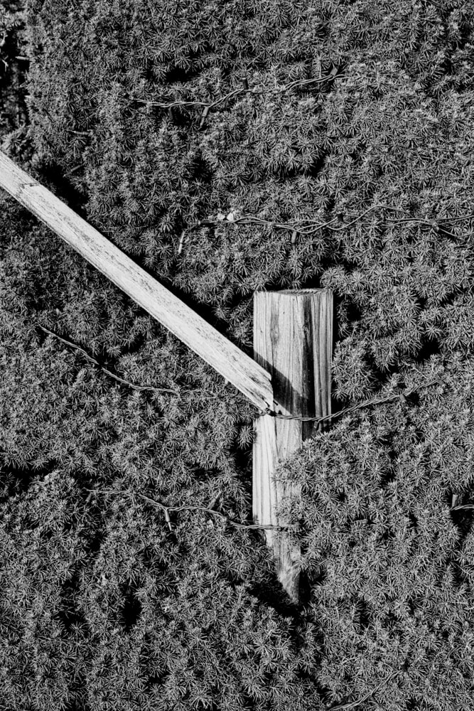 Shooting for Peace: Santa Rae 1000 Film - Christopher Bruno, NJ ...